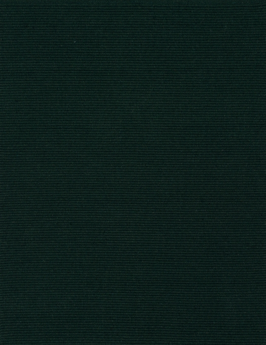 Solid Dark Teal Green Flatweave Eco Cotton Rug - Hook & Loom