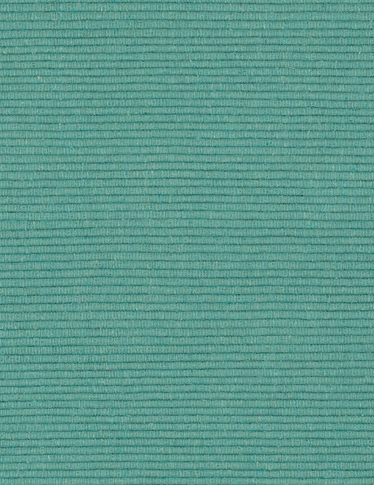 Solid Light Aqua Blue Flatweave Eco Cotton Rug - Hook & Loom